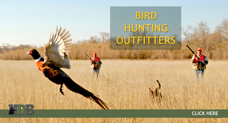 Hunting Dog Breeders | Hunting Dogs For Sale | Gun Dog Breeders ...